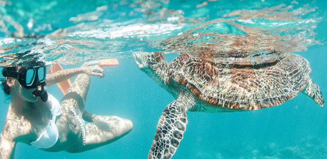 SL-Arlington Reef Pontoon - CTIC