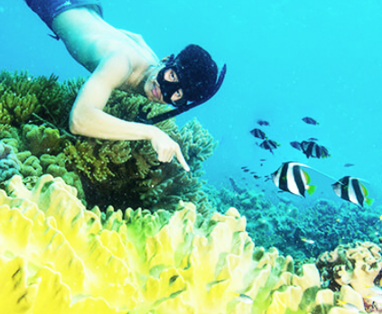 SL-Arlington Reef Pontoon - CTIC